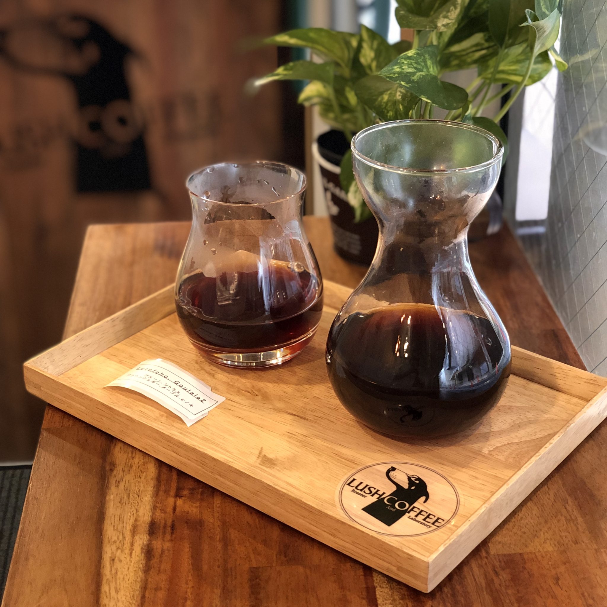 [SCAJ 2022出店のお知らせ！] – LUSH-COFFEE WEB